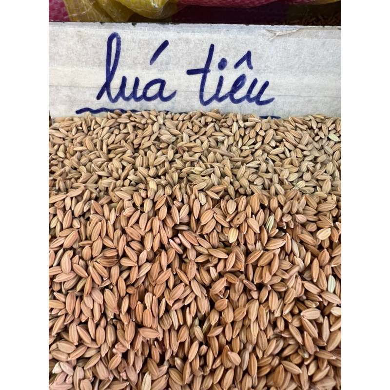 [ 1kg ] Lúa Hạt Tiêu- Cho Chim Cu Gáy-Gà-Vịt | Shopee Việt Nam