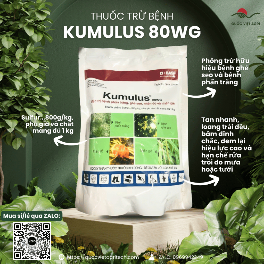 Thuốc Trừ Bệnh - KUMULUS 80WG - 1KG | Shopee Việt Nam