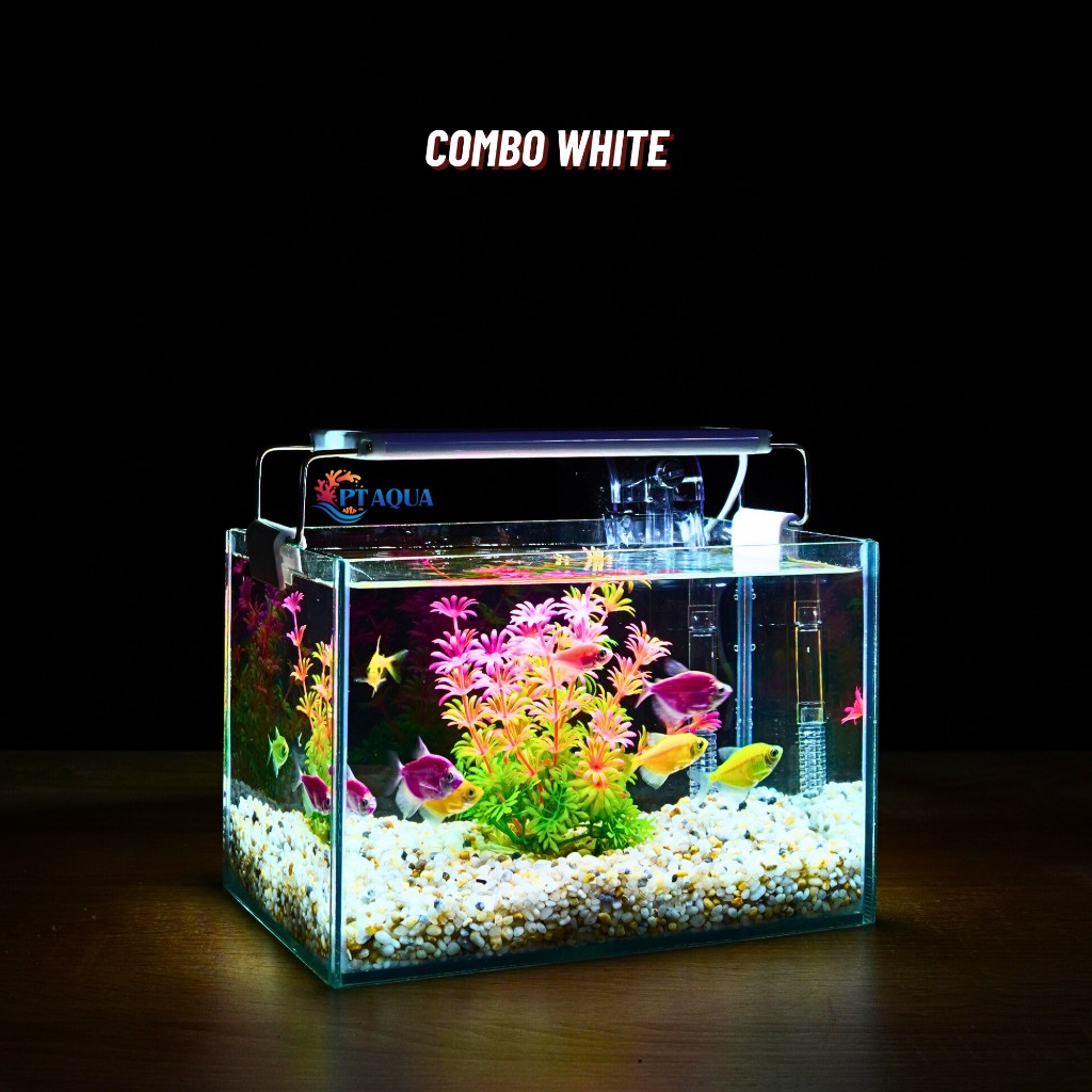 Bể cá mini để bàn - Giá Tốt, Miễn Phí Vận Chuyển, Đủ Loại | Shopee Việt Nam