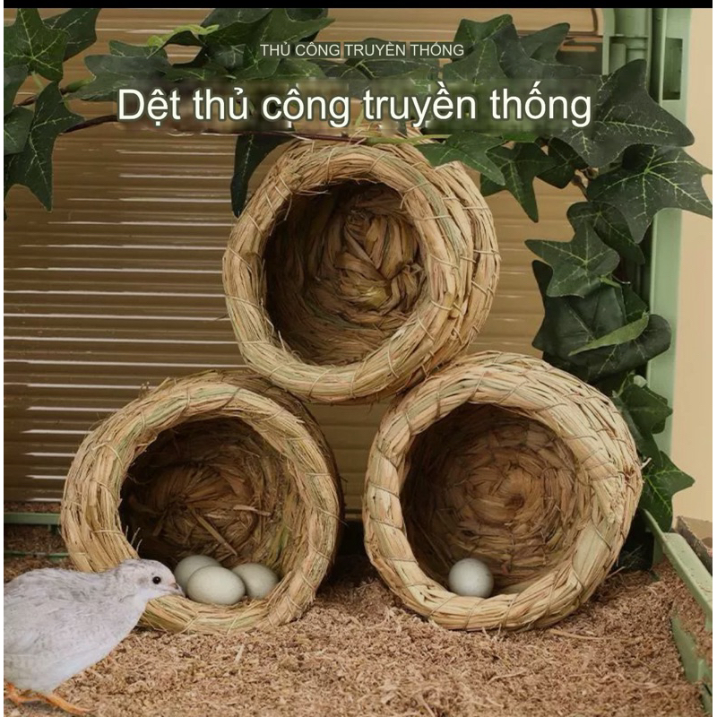 Tổ Rơm Cho Chim Vẹt, Chào Mào, Finch, Được Làm Từ Sợi Rơm Tự Nhiên và ...