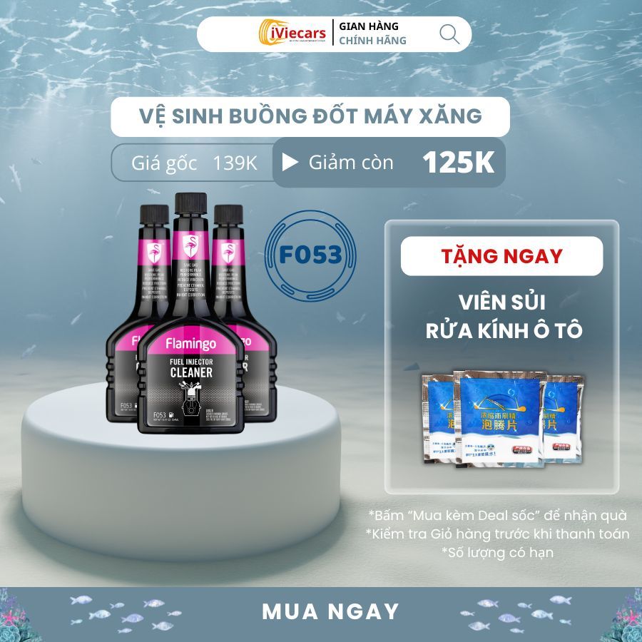 Vệ sinh buồng đốt kim phun máy xăng Flamingo F053 | Shopee Việt Nam