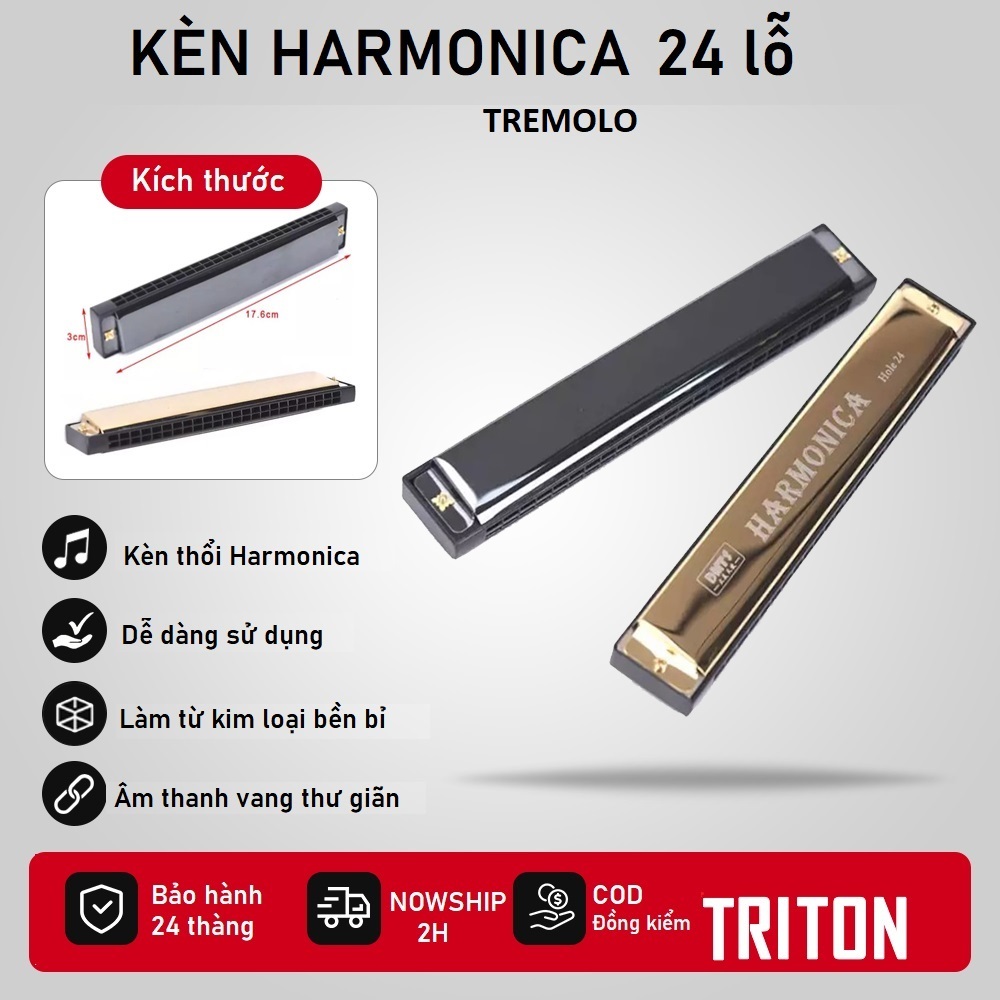 Kèn Harmonica Tremolo 24 Lỗ TRITON DMTS24H - Tặng hộp đựng và khăn lau giá rẻ cho bạn mới tập ...