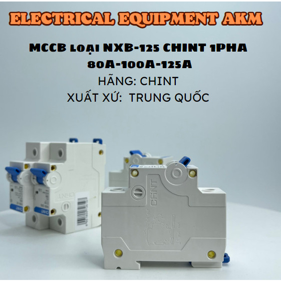 MCCB LOẠI NXB-125 CHINT MCB 1P 2P 3P 80A/100A/125A - Dòng cắt 10KA | Shopee Việt Nam