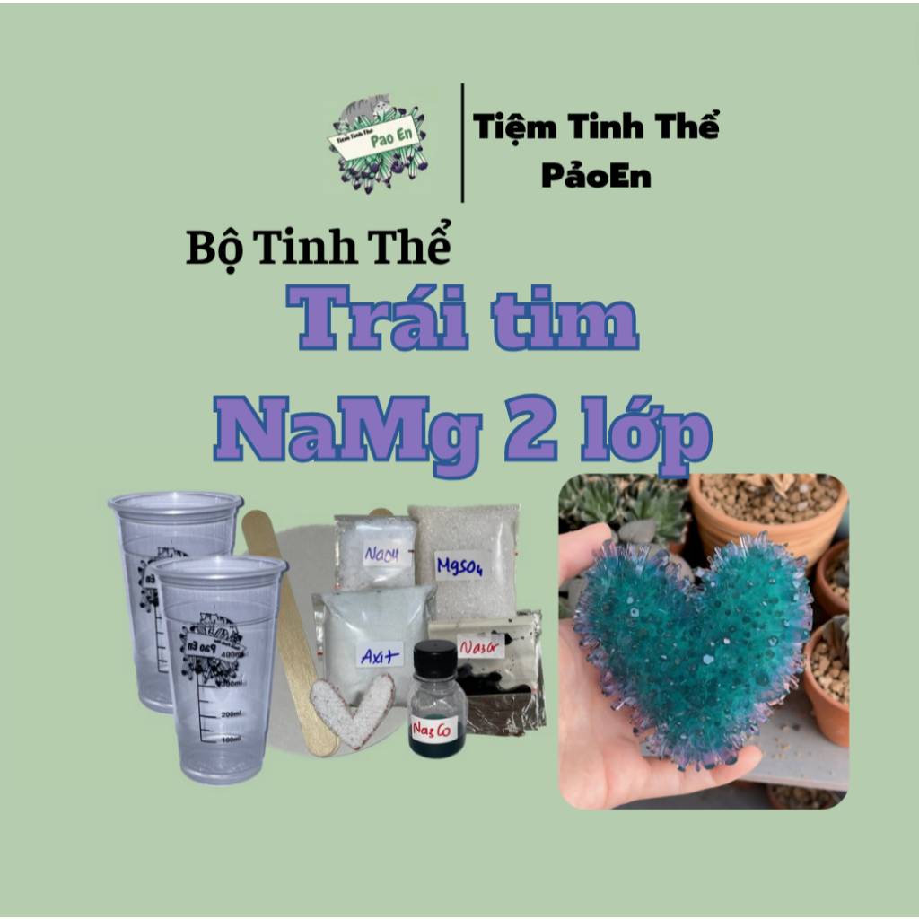 Bộ dụng cụ nuôi tinh thể trái tim NaMg 2 lớp ( Có giấy hướng dẫn ) | Shopee Việt Nam
