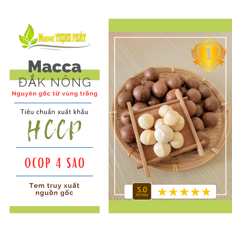 Macca Đắk Nông, hạt macca sạch sấy, dập nứt tiêu chuẩn xuất khẩu HACCP ...