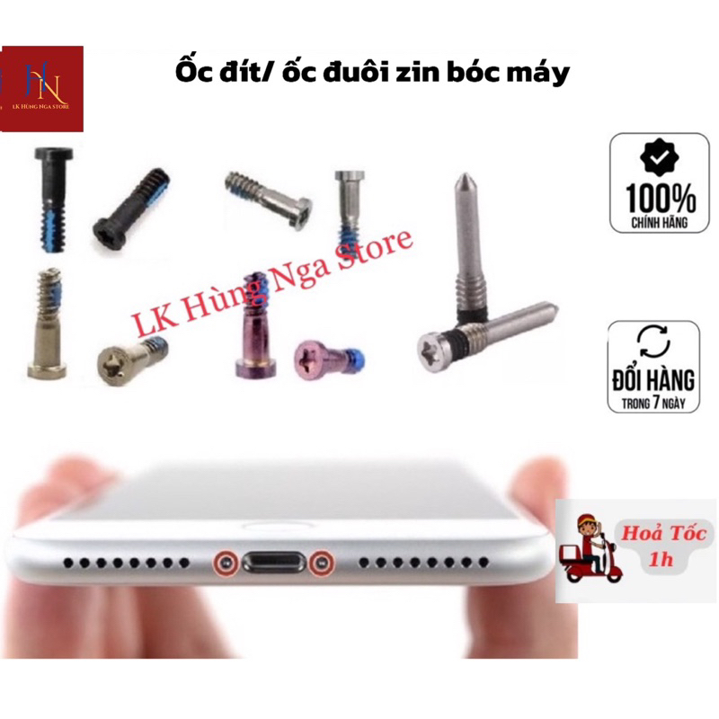 Ốc đuôi ,[1 con ] ốc đít 5 6 7 8 x xs xm xr 11 11p 11pm 12 12p 12pm 13 13p 13pm 14 14pm Zin Bóc ...