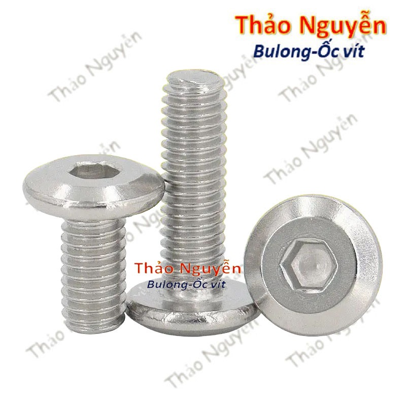 Set 10 con Ốc vít đầu lục giác dẹp mỏng vát inox 304 size M3 M4 M5 M6 M8 | Shopee Việt Nam