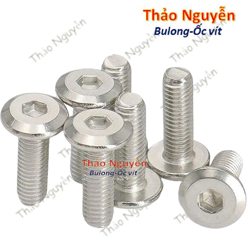 Set 10 con Ốc vít đầu lục giác dẹp mỏng vát inox 304 size M3 M4 M5 M6 M8 | Shopee Việt Nam
