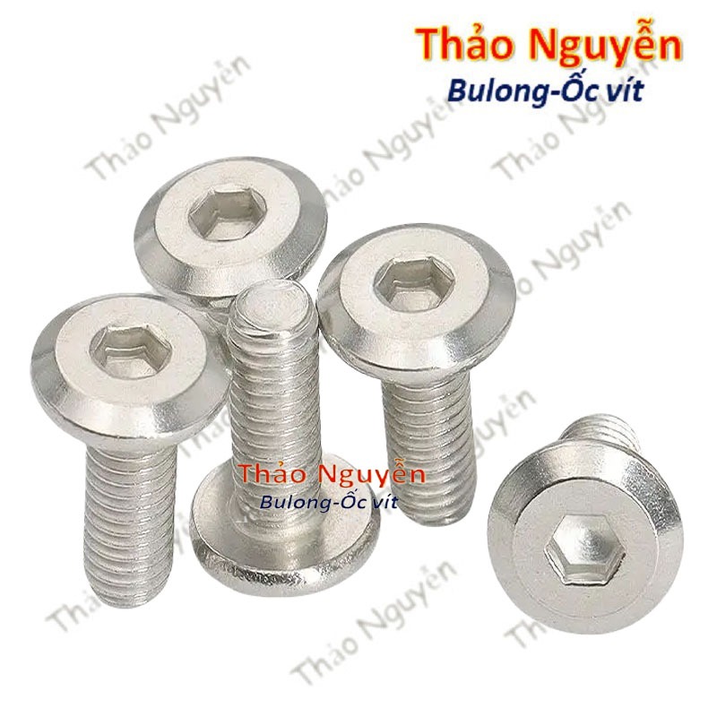 Set 10 con Ốc vít đầu lục giác dẹp mỏng vát inox 304 size M3 M4 M5 M6 M8 | Shopee Việt Nam