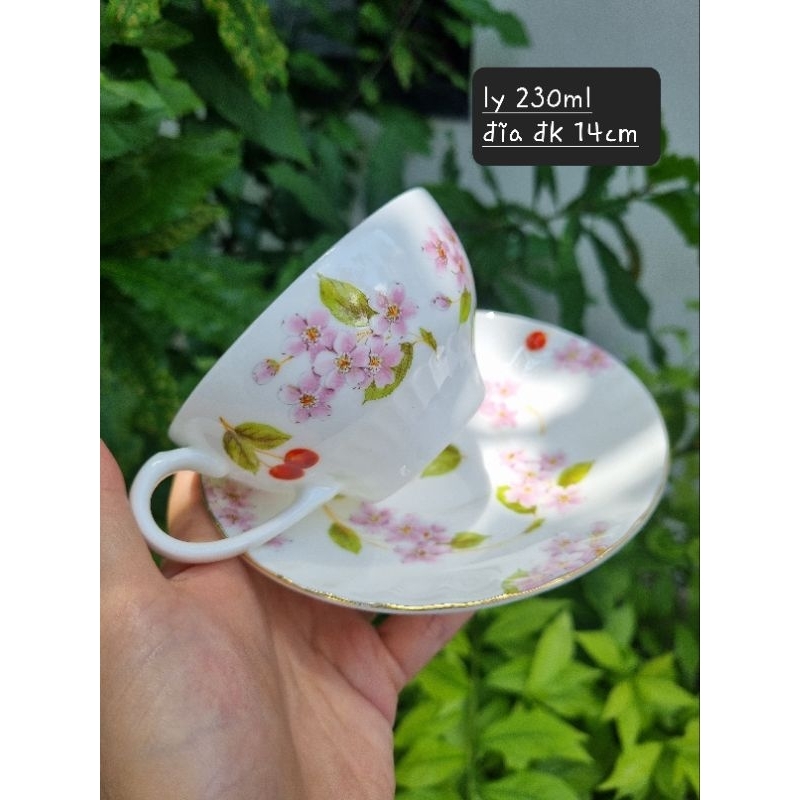 Set trà Anh A.y.n.sley fine China sứ xương cherry | Shopee Việt Nam