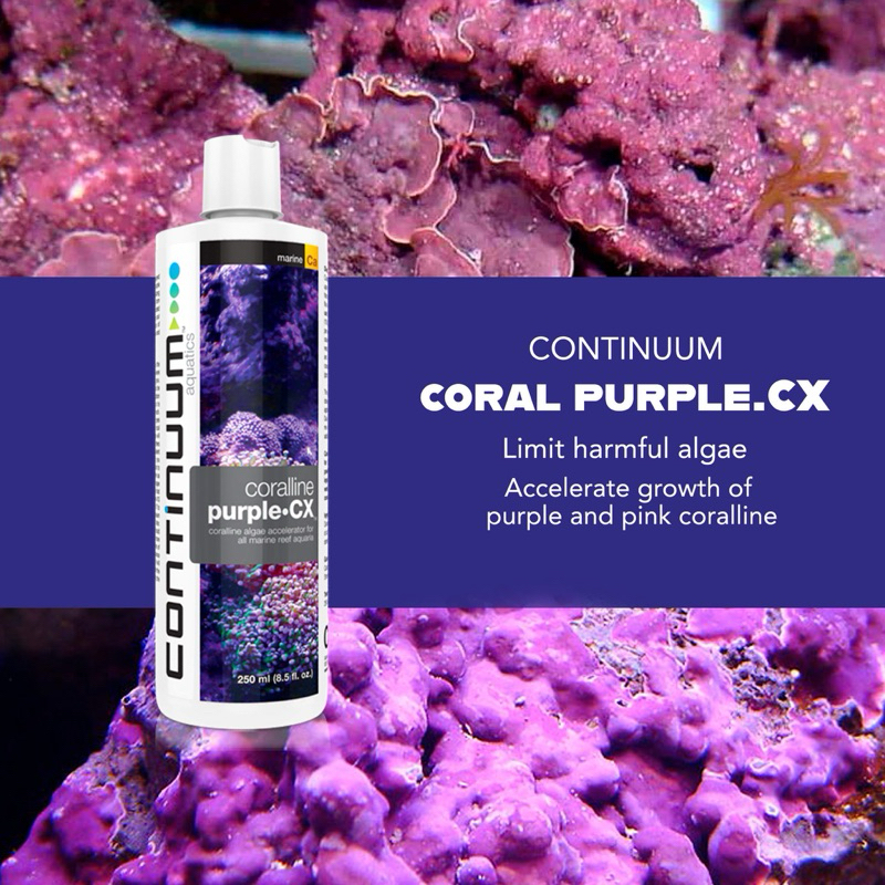 CORALLINE PURPLE CX KÍCH THÍCH SỰ PHÁT TRIỂN TẢO TÍM 500ML-CONTINUUM AQUATICS | Shopee Việt Nam