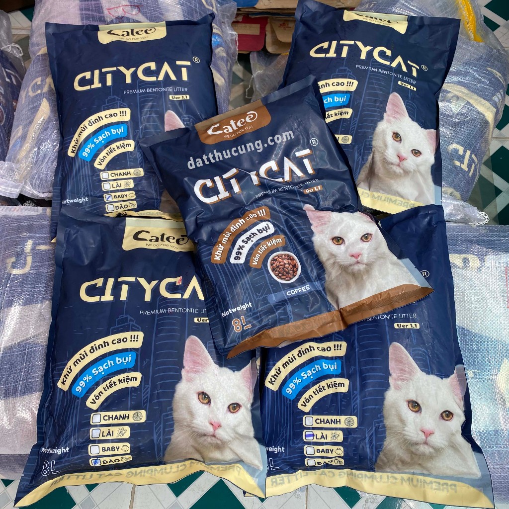 Cát vệ sinh mèo Citycat túi 4kg khử mùi vón cụt tốt rất ít bụi | Shopee ...