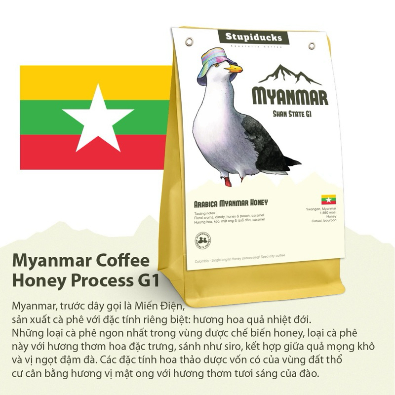 Cà Phê Arabica Myanmar Ywangan Shan State Honey Process G1 - Moby Dick ...
