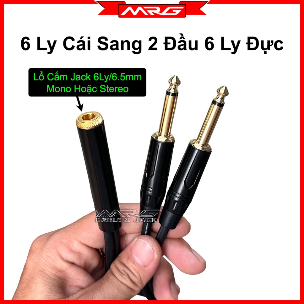 Cáp Chuyển 1 Đầu 6 Ly Cái Ra 2 Đầu 6 Ly Đực, giá 1 dây, dây 6 ly cái ra ...