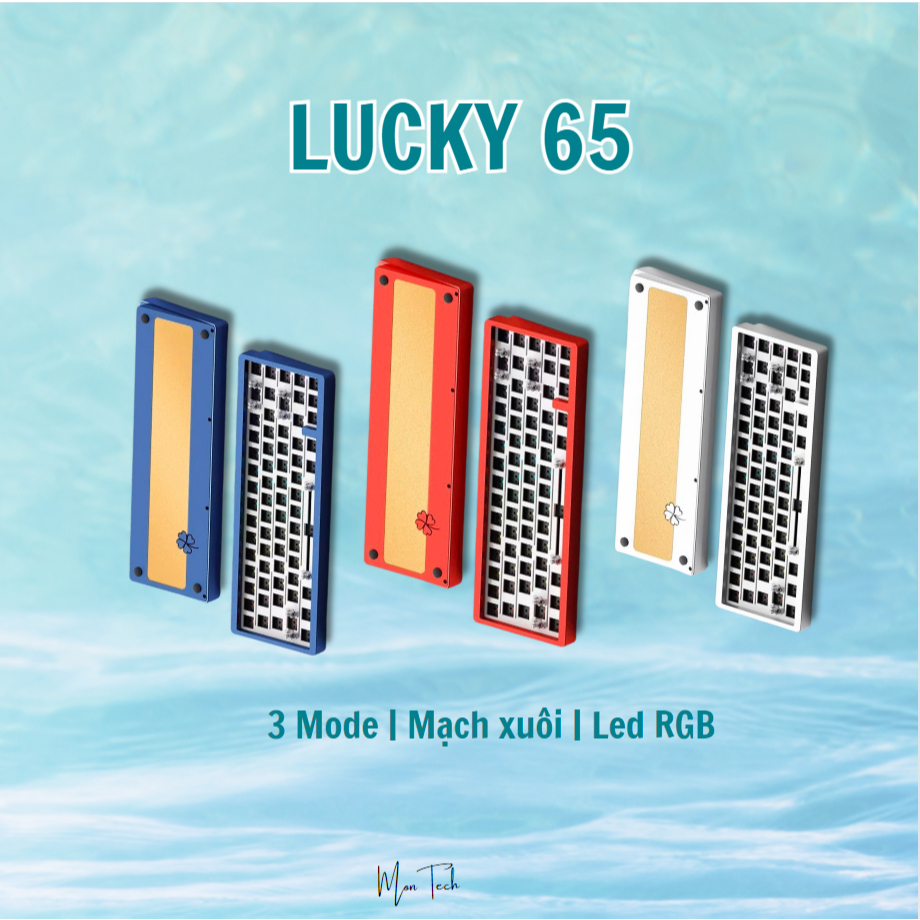 [Hỏa Tốc-HCM] Kit bàn phím cơ Lucky65 3 Mode | Mạch Xuôi | Led RGB | Shopee Việt Nam
