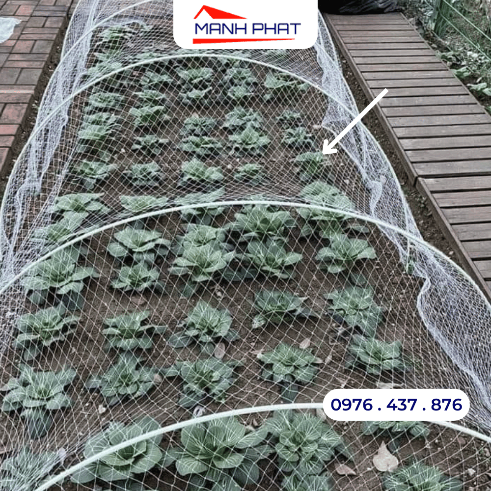 ( Combo 10-20 ) Thanh nan sợi thủy tinh 2m làm giàn leo cây khung vòm ...