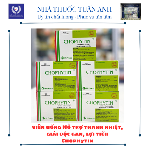 Viên uống Hỗ trợ thanh nhiệt, giải độc gan, lợi tiểu Chophytin H/100v ...