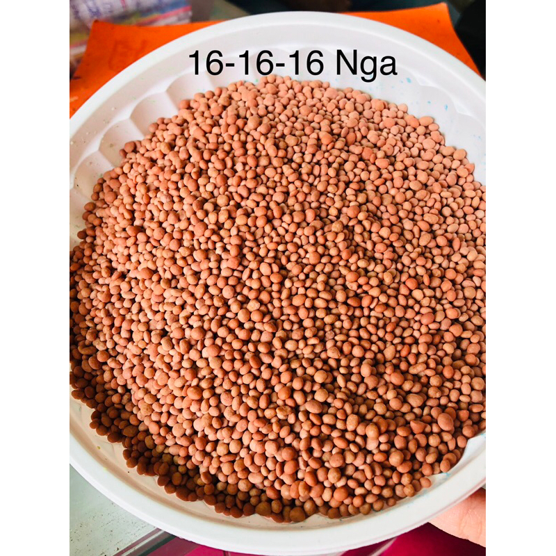 PHÂN BÓN NPK 16-16-16 NGA 1KG | Shopee Việt Nam
