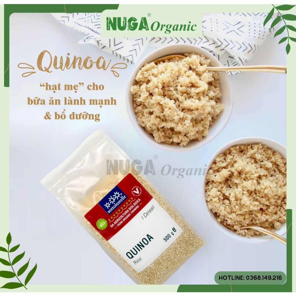 Hạt Quinoa (hạt diêm mạch) trắng hữu cơ (Organic Quinoa ...