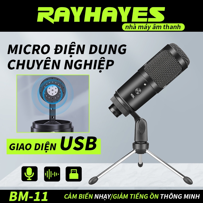 RAYHAYES Micro Điện Dung Cardioid USB Micro cho PC Laptop Ghi Âm ...