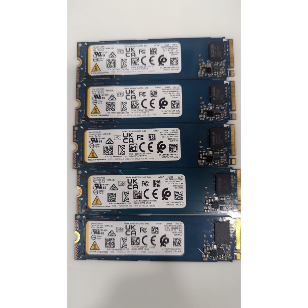 Ổ Cứng SSD Kioxia BG5 2280/2230 512GB/256GB PCIe M.2 NVMe Gen4 x4 ...