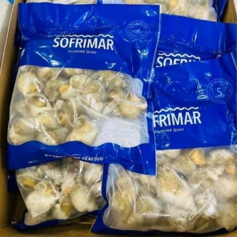 Ốc bulot Pháp Sofrimar Size 15-25con/kg. Hàng bao ngon, thơm, sạch cát. Túi 1kg | Shopee Việt Nam