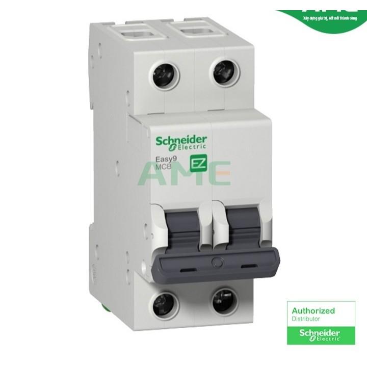Cầu dao tự động (aptomat) MCB 2 pha 40A dòng cắt 4.5kA Easy9 Schneider_EZ9F34240 | Shopee Việt Nam