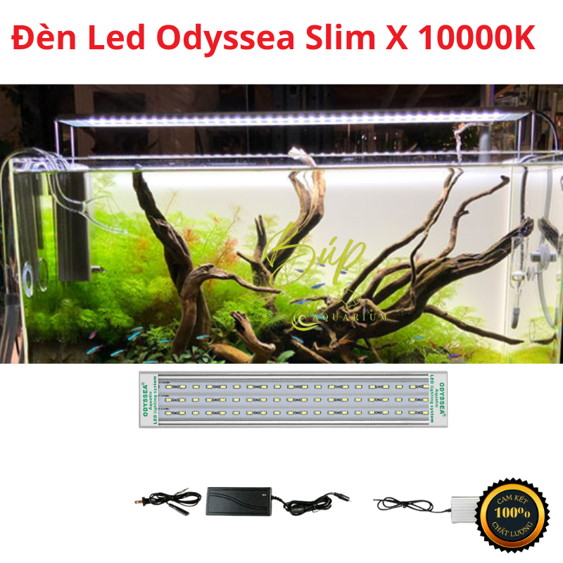 Đèn led máng odyssea slim x350/ x450 ánh sáng 10000k điều chỉnh 10 cấp độ chuyên dùng cho bể cá ...
