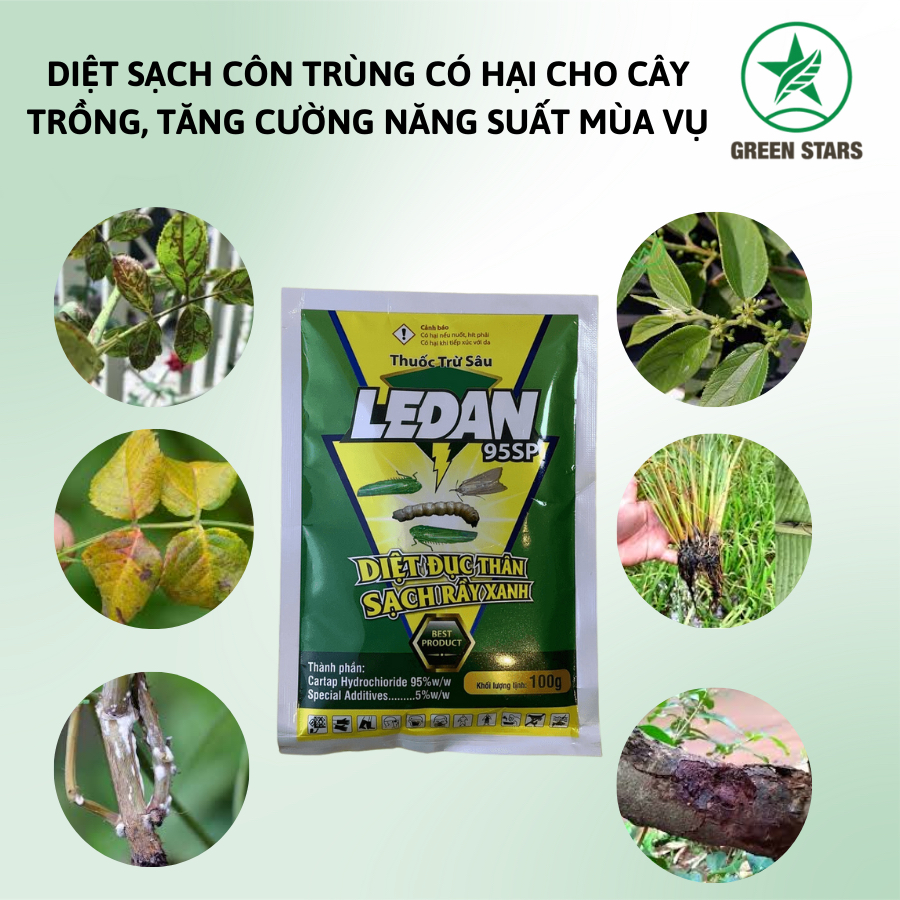 Ledan 95SP - Trị Sạch Rầy Xanh, Sâu Hại, Trứng, Ấu Trùng Nhện Trong Đất ...