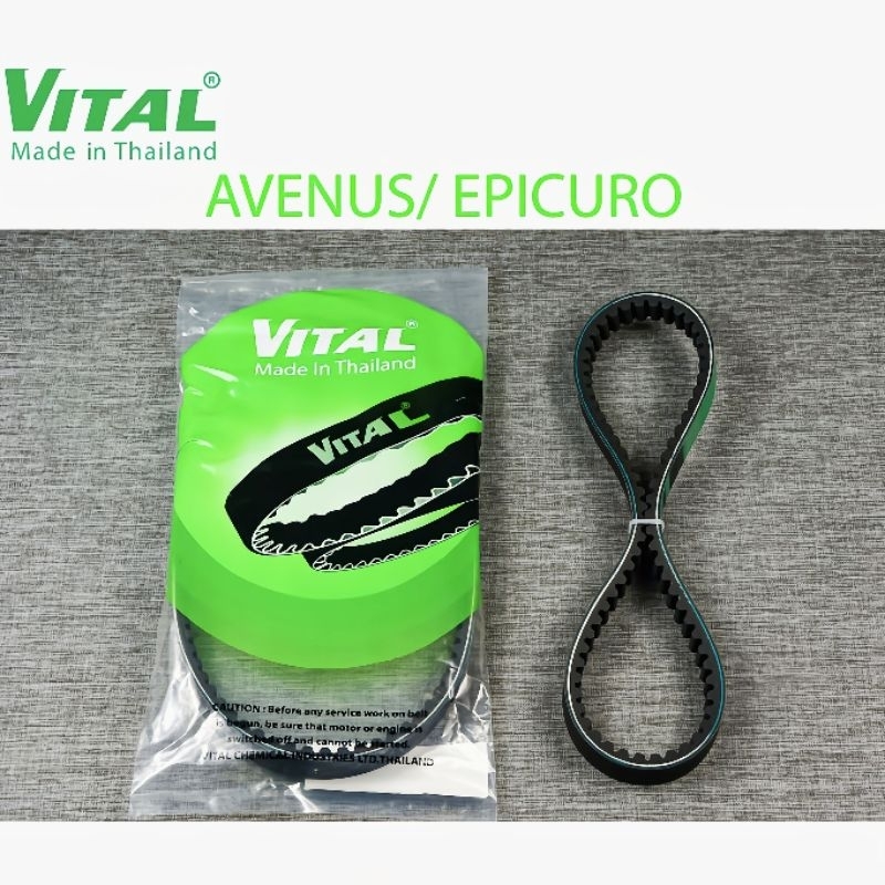 Dây đai cho Avenis Avenus Epiocuro chính hãng Vital (curoa cho xe máy ...