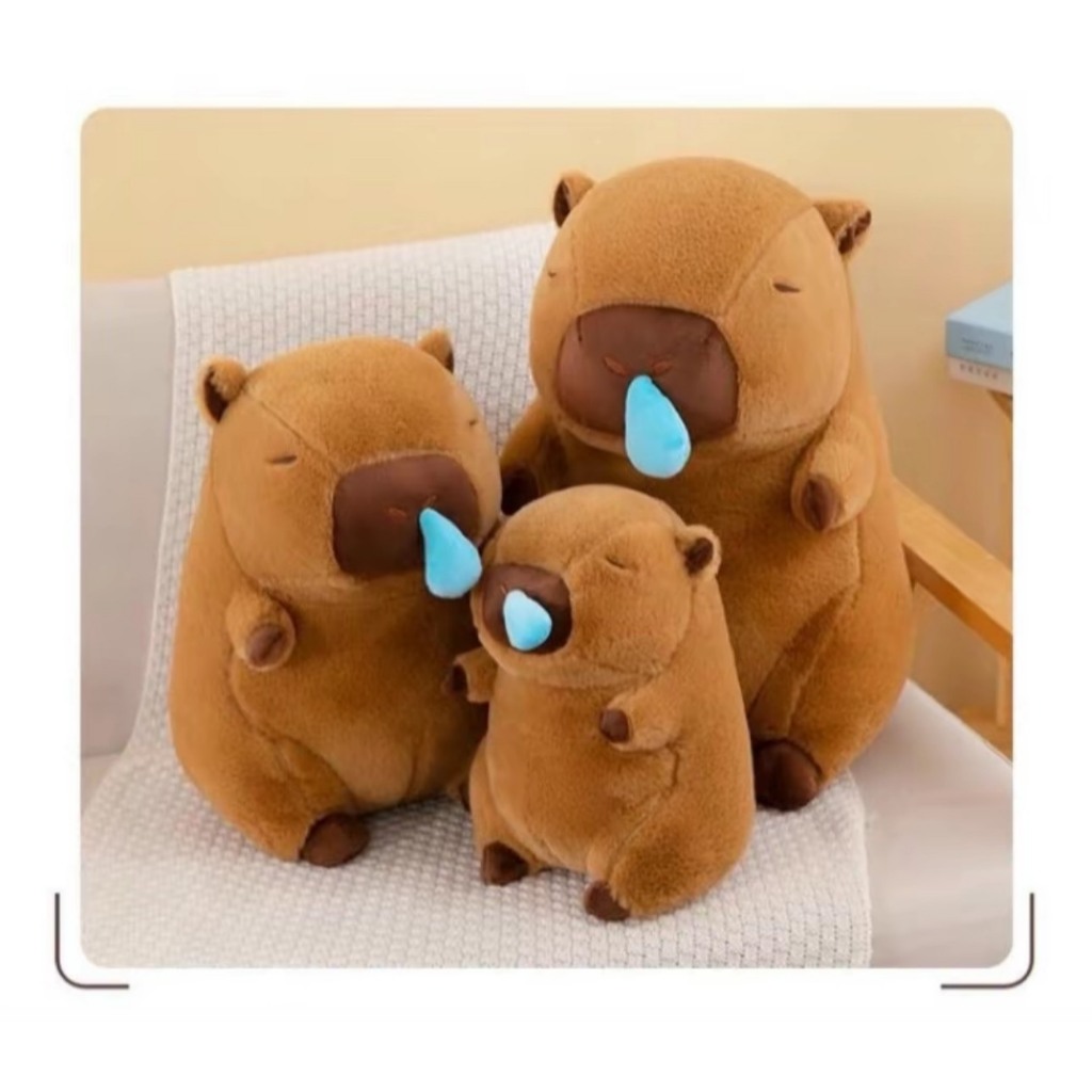 (Nên mua) Gấu bông capybara , đủ các mẫu capybara rút nước mũi , rút ...