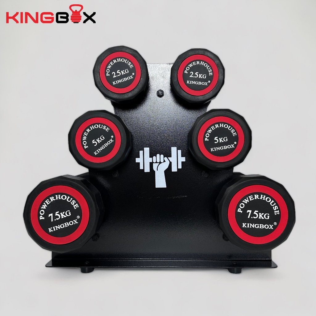 Tạ tay KINGBOX 2,5kg,5kg,7,5kg-10kg lõi gang đặc bọc cao su Nhập Khẩu bền đẹp (1quả) | Shopee ...