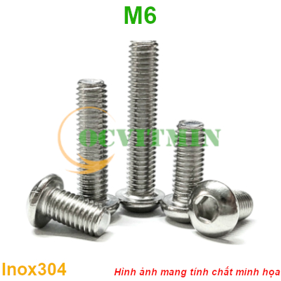 DM6I# - Ốc Lục Giác Đầu Dù M6 Inox 304 Hút Nam Châm | Shopee Việt Nam