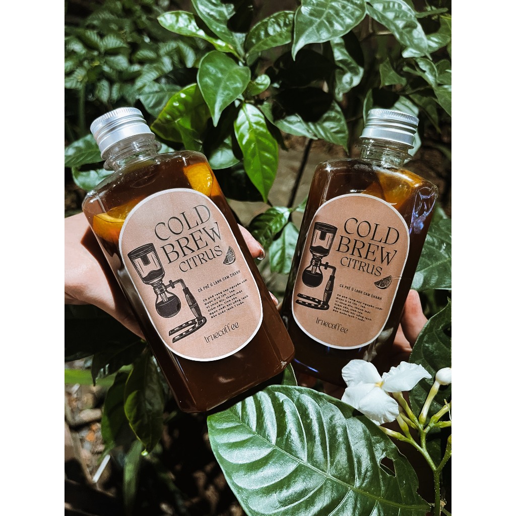 Cà phê ủ lạnh Cold Brew cam chanh Truecoffee, coldbrew chanh vàng đặc ...