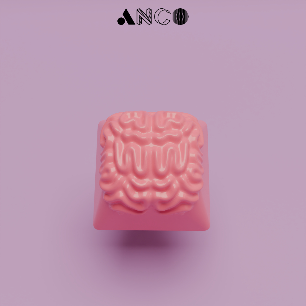 Keycap Brain - Keycap Tinh Hoa Của Sự Tiến Hoá - Keycap Artisan ...