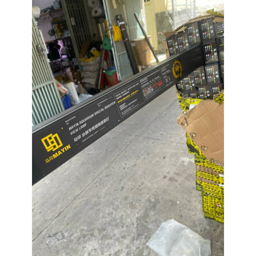 Đèn MAYIN SUPER COLOR 2 Huyết Long, Cá Vàng Cá Ánh Xanh Đỏ Đèn Giành ...