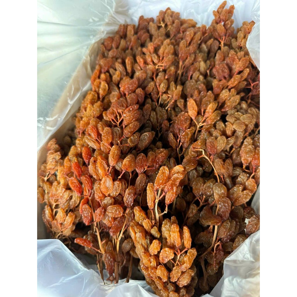 500g Nho Khô Úc rời từ cành, dòng nho rời Thompson, nho không đường ...
