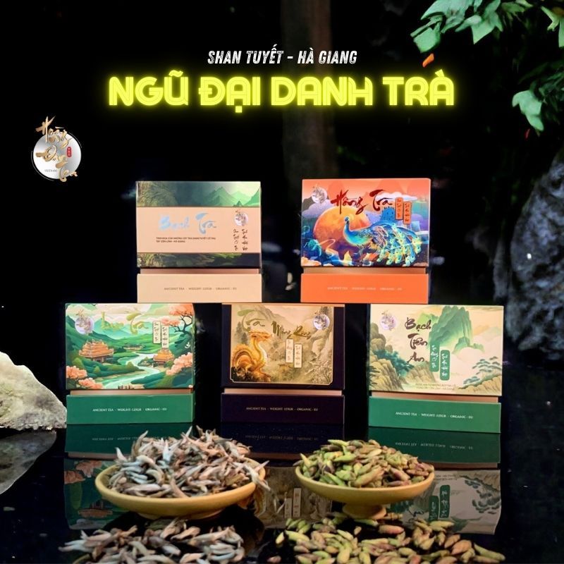 Hộp Trà Shan Tuyết Cổ Thụ Thượng Hạng HOÀNG ĐAN TEA Cao Cấp Chè San Hà ...