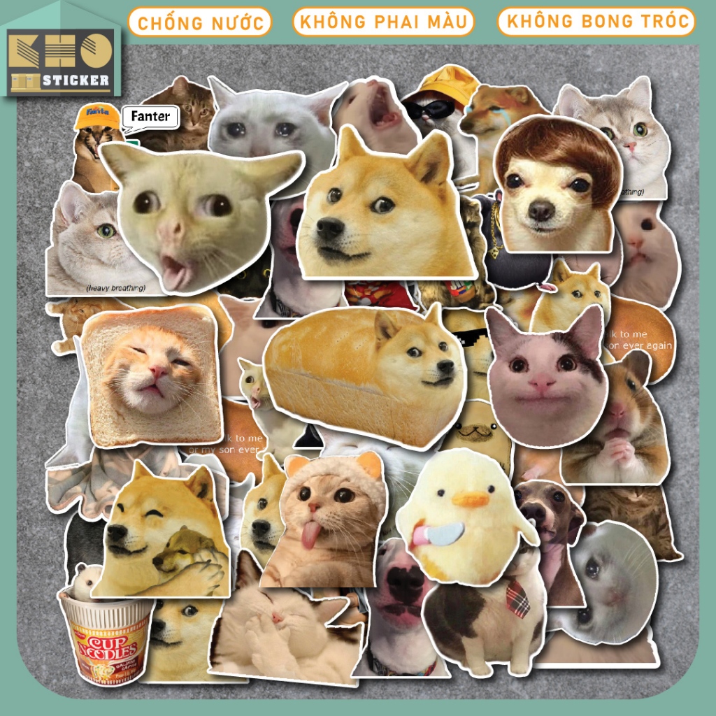 50 Sticker Meme chống nước dán mũ bảo hiểm, điện thoại, laptop, đàn ...