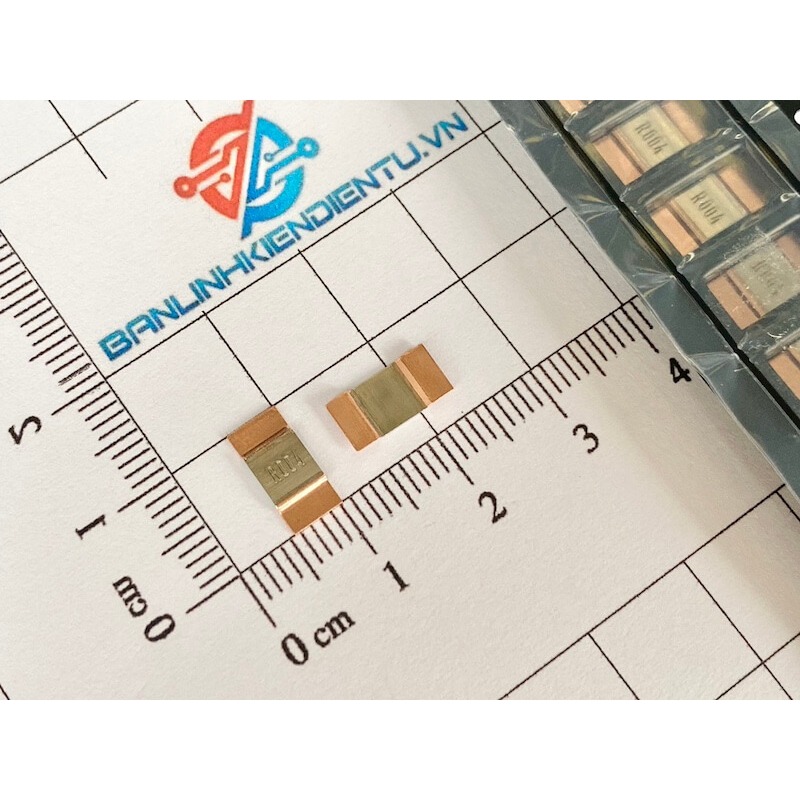 [Combo 2 chiếc] 3920 Điện trở 4W 4mR 1% R004 0.004R | Shopee Việt Nam