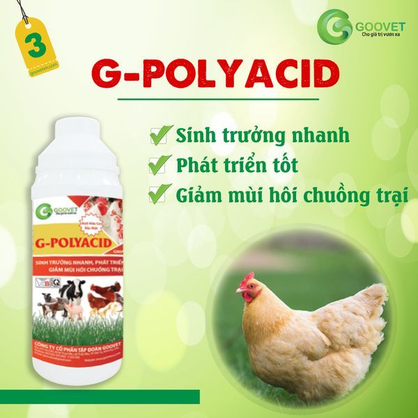G-POLYACID –1 LÍT- GOOVET - Bổ sung Acid Hữu cơ đặc biệt giúp vật nuôi ...