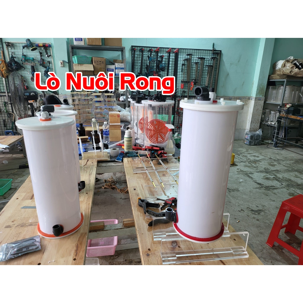 Lò nuôi rong EBIVN - Khử no3 và p04 tự nhiên trong hồ cá Biển. | Shopee ...
