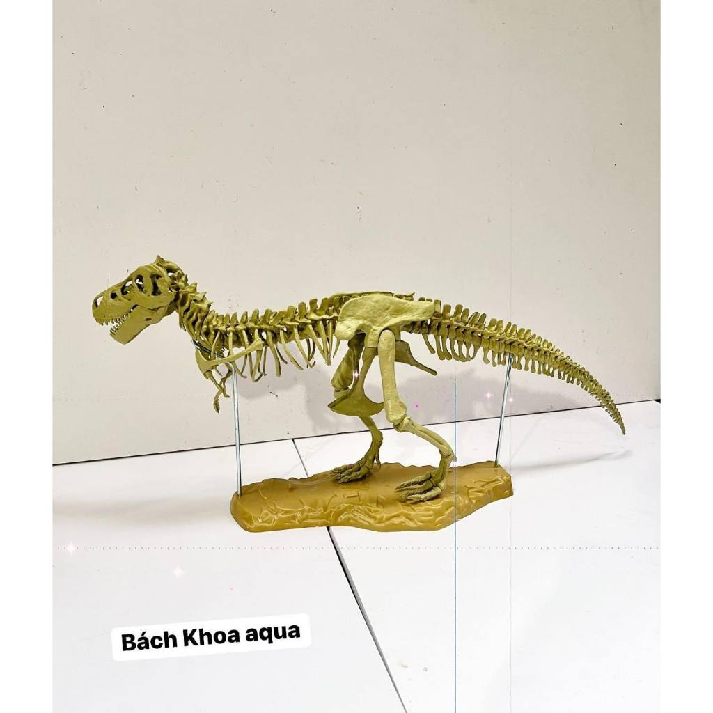 Mô hình xương khủng long T-Rex trang trí bể cá | Shopee Việt Nam