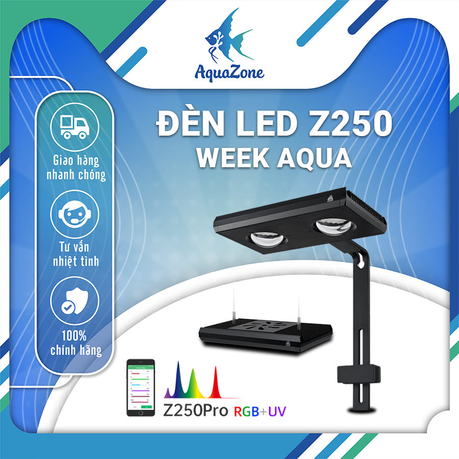 Đèn LED WEEK AQUA Z250PRO tích hợp 4in1 RGB + UV ánh sáng chất lượng ...