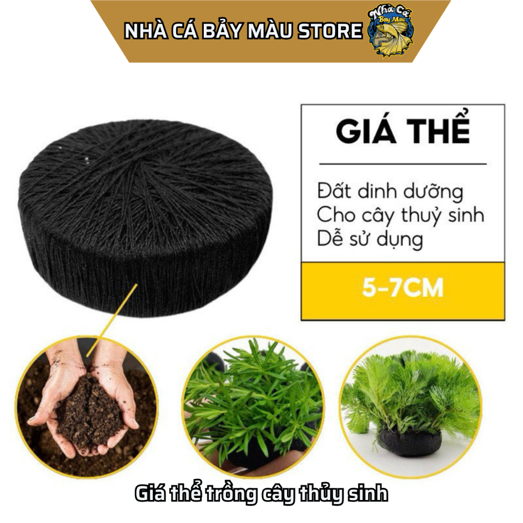 Giá thể cho cây cắt cắm thủy sinh 5cm, 7cm - giá thể trồng tiểu bảo ...