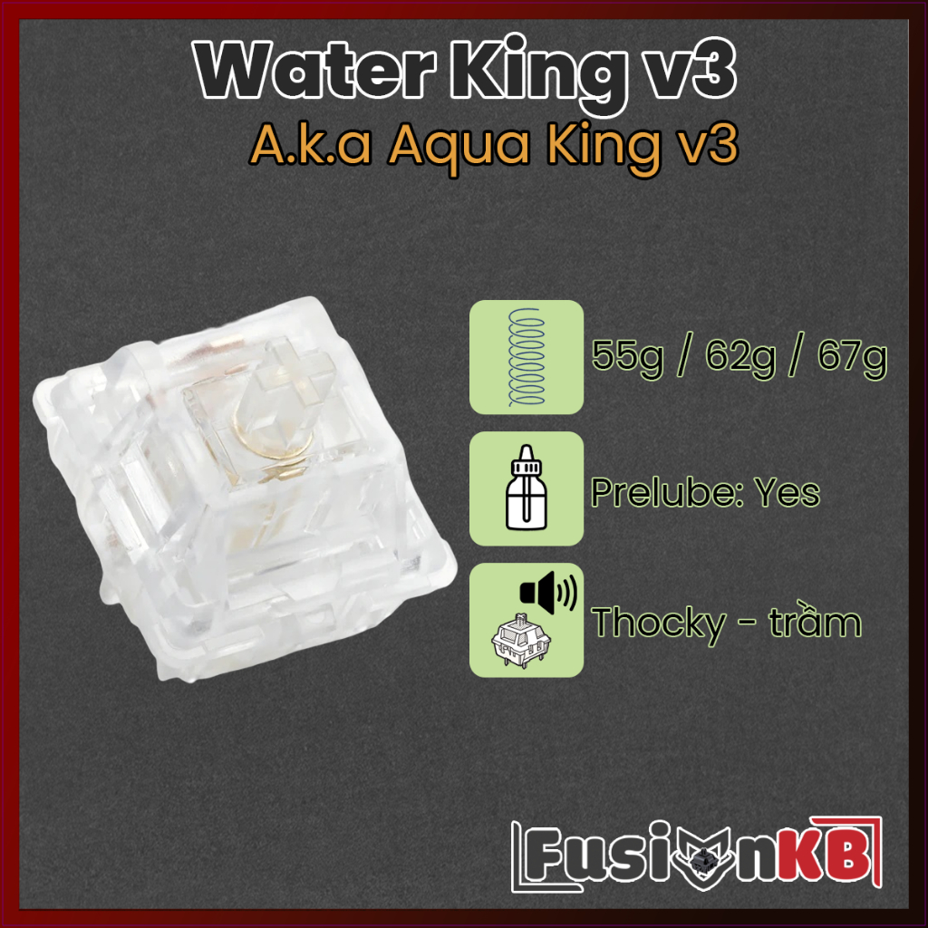 Water King v3 | Aqua King v3 | 55gr | 62gr | 67gr | Linear Switch | Công tắc bàn phím | FusionKB ...
