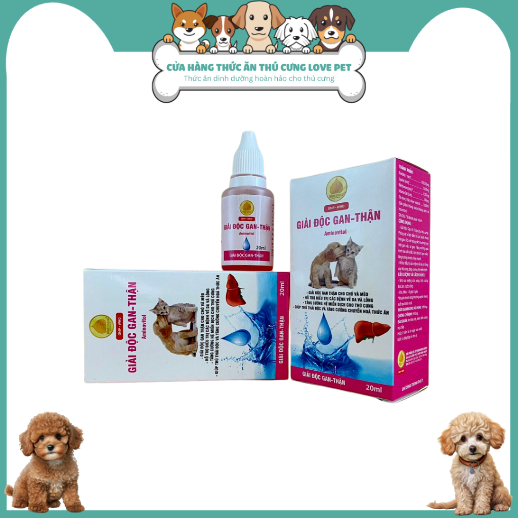 Dung Dịch Uống Giải Độc Gan Thận Chó Mèo Tăng Cường Hệ Miễn Dịch ...