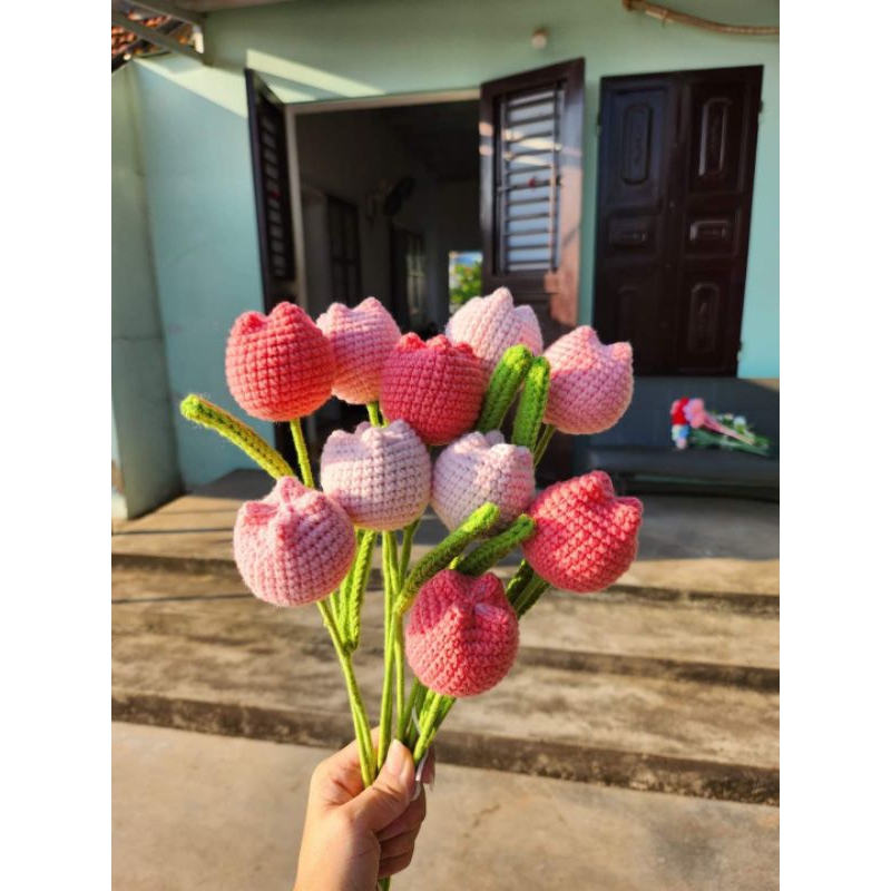 hoa tulip len sỉ ( từ 10bông) | Shopee Việt Nam