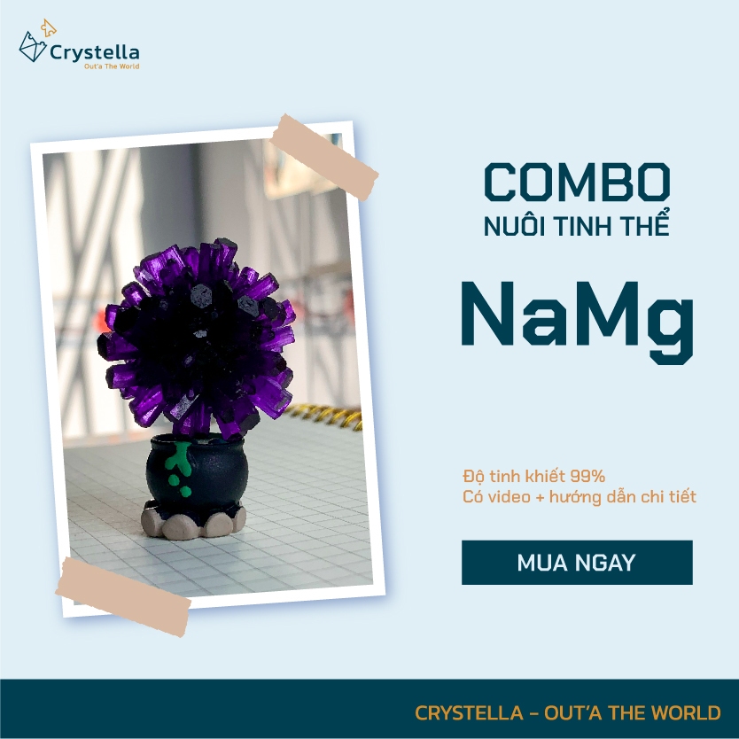 Bộ điều chế nuôi tinh thể phức NaMg (có hướng dẫn chi tiết) | Shopee Việt Nam