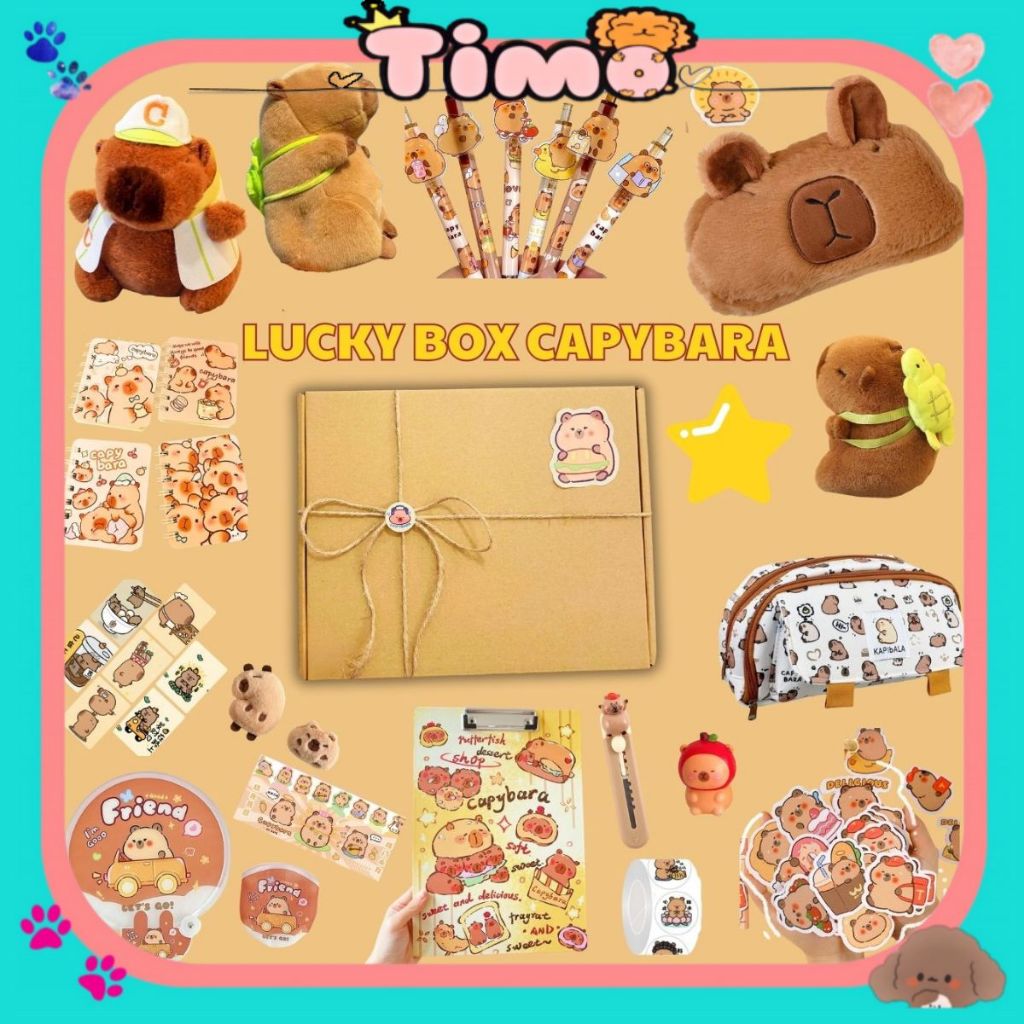 Hộp Quà Bí Ẩn Blind Lucky Box Capybara Test Nhân Phẩm Tặng Bạn Timo SQ1 ...